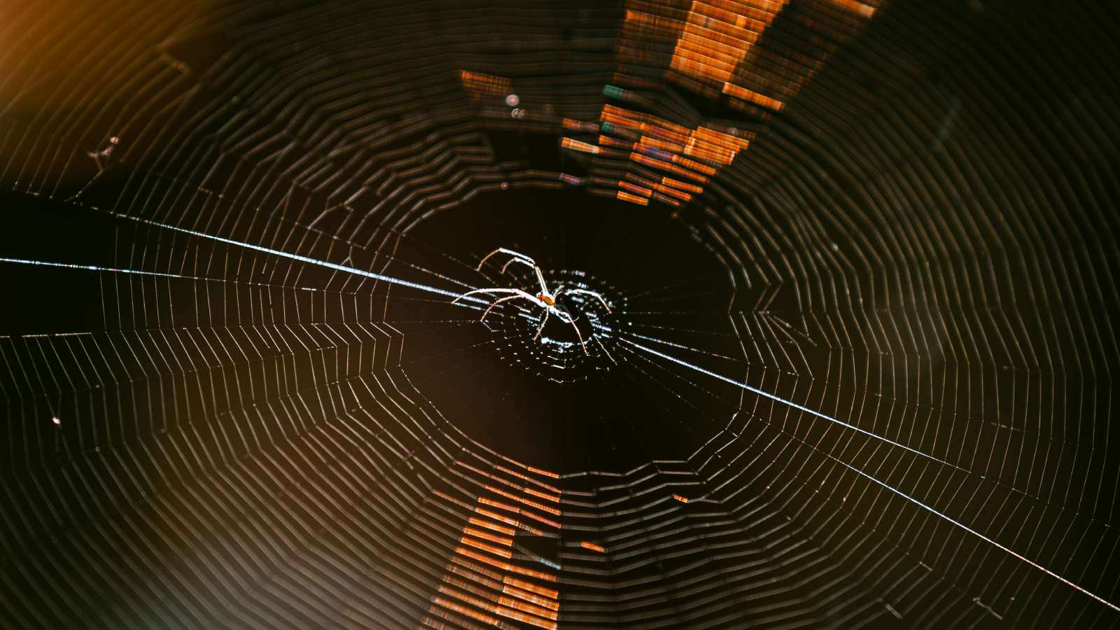 How Threat Hunters Can Detect Scattered Spider Attacks and Related ...